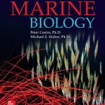 Campbell Essential Biology 6th Edition (Online Access) - Uni Textbook